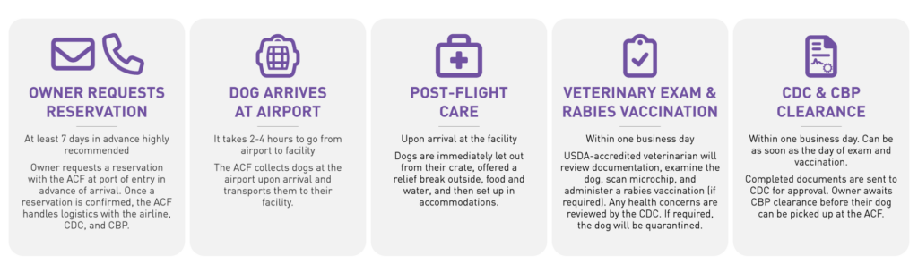 The CDC Rabies Import Program - Tailwind Global Pet