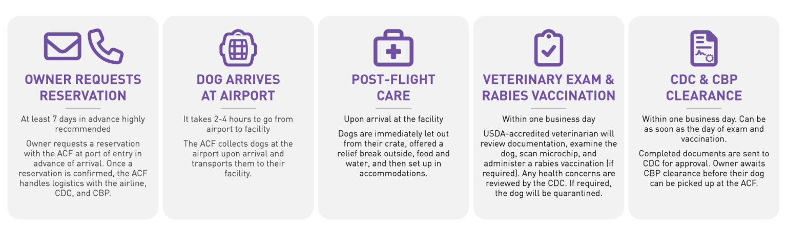 The CDC Rabies Import Program - Tailwind Global Pet