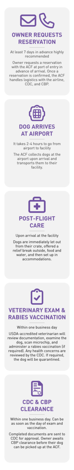 The CDC Rabies Import Program - Tailwind Global Pet