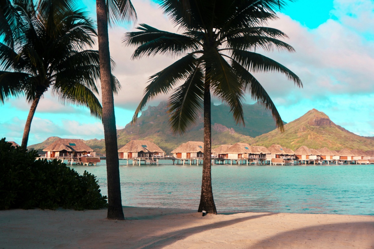 Pet Transportation to Tahiti and French Polynesia