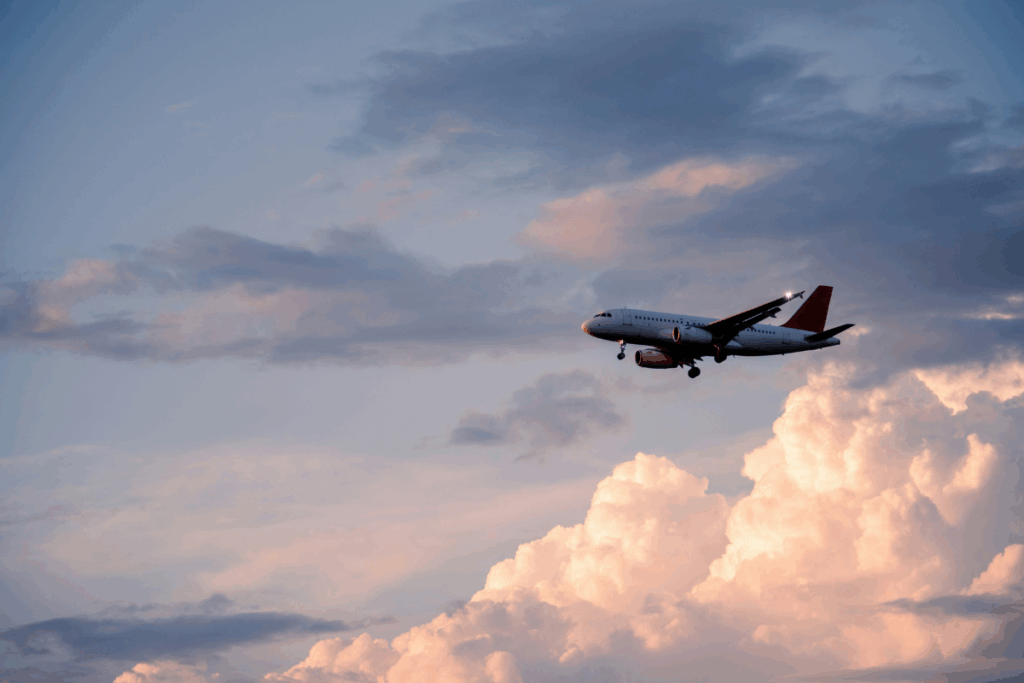 Airlines That Fly Pets Unaccompanied